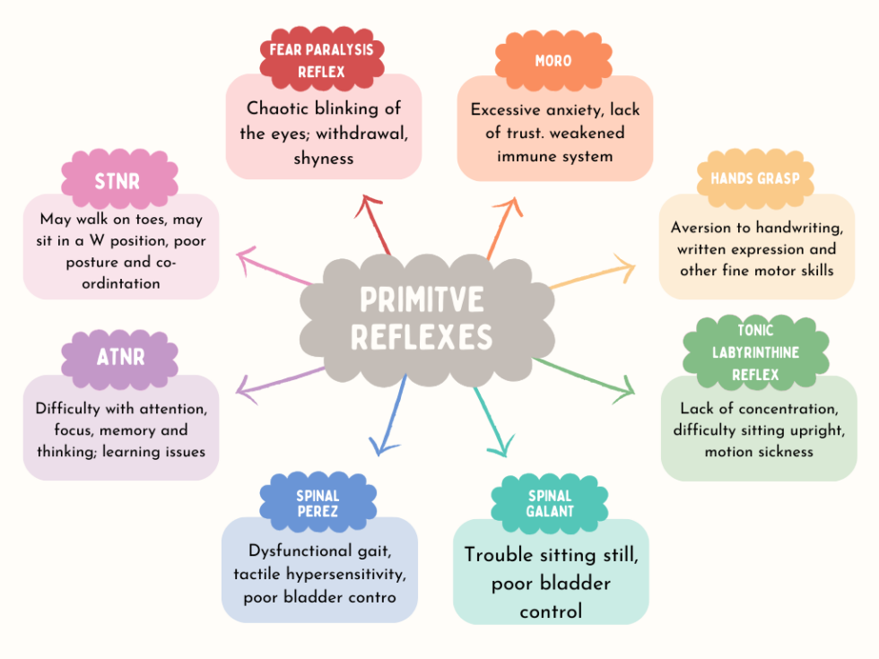Understanding Primitive Reflexes: What They Are and Why They Matter ...